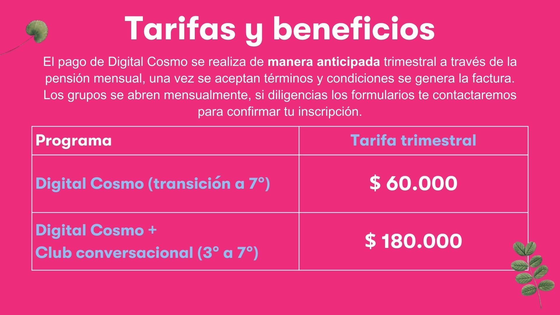 Matriculas 2024 - Cosmo Digital